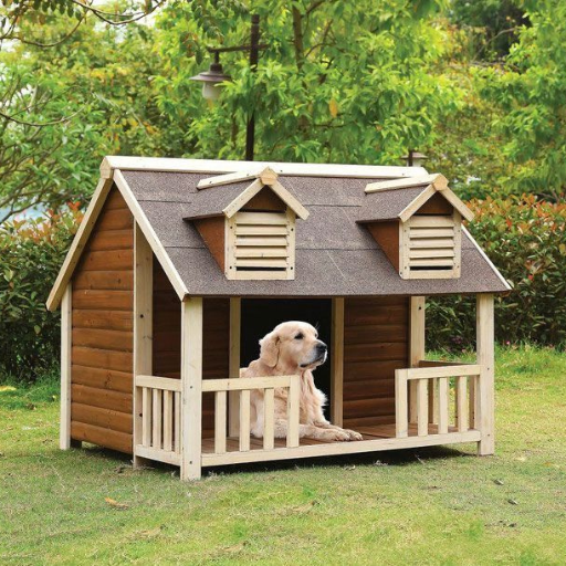 Ev heyvanları üçün ləvazimatlar - Shopping AZ